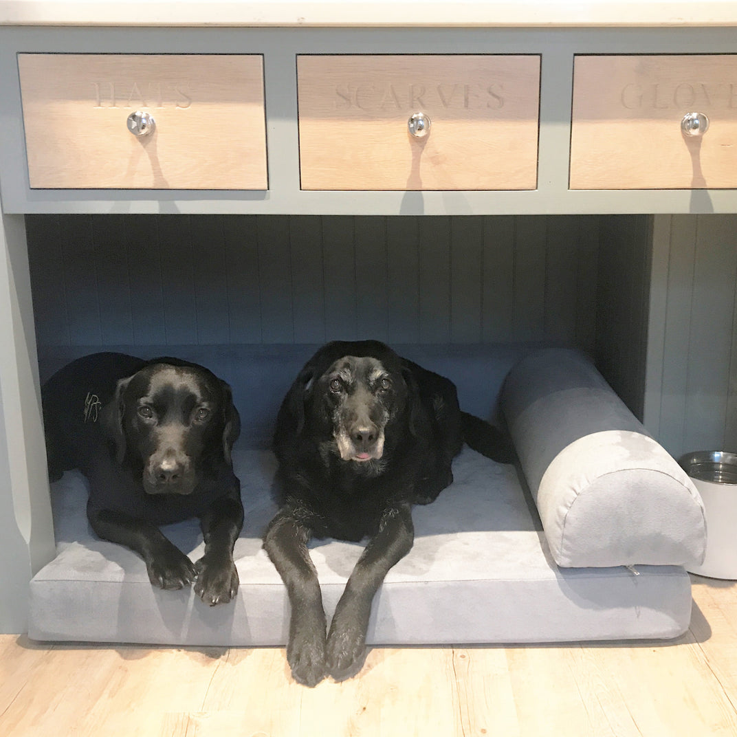 Big Dog Bed Company | Bespoke Orthopaedic Beds & Veterinary Mattresses